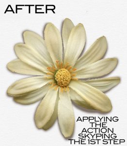 Creating Realistic Shadows + Using the Twisted Shadow Actions